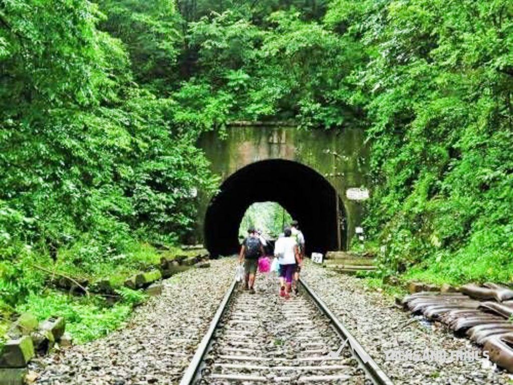 Dudhsagar Trek - A Complete Guide To Plan - Treks and Trails India
